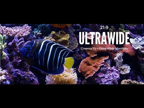 Ultrawide Screensaver for Windows 10 + 11 on 21:9 ultra wide monitors; Aquarium Video UHD, $5+.