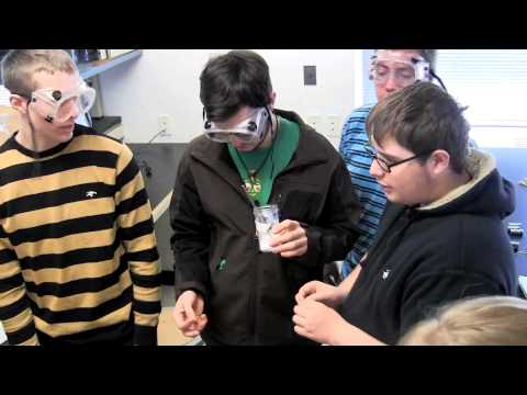 Tech Valley High- PSA 60