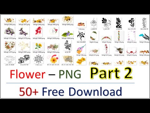 Part 7 Flower ClipArt Free Download 50+ Png Images for Wedding