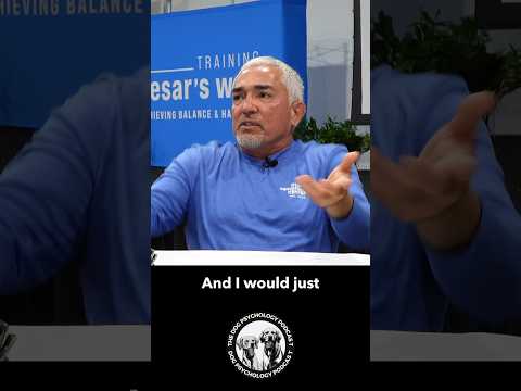 Who let the dogs out?! Episode #032 with The Dog Whisperer Cesar Millan