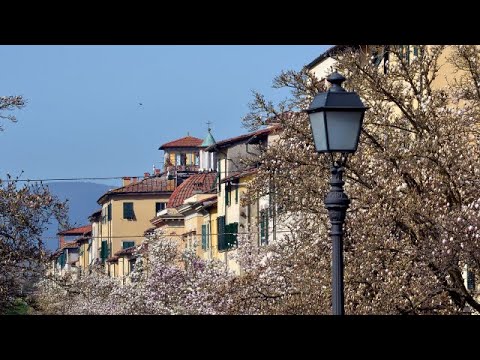 Etruscan Lucca in Beautful Tuscany Italy #tuscany #italy
