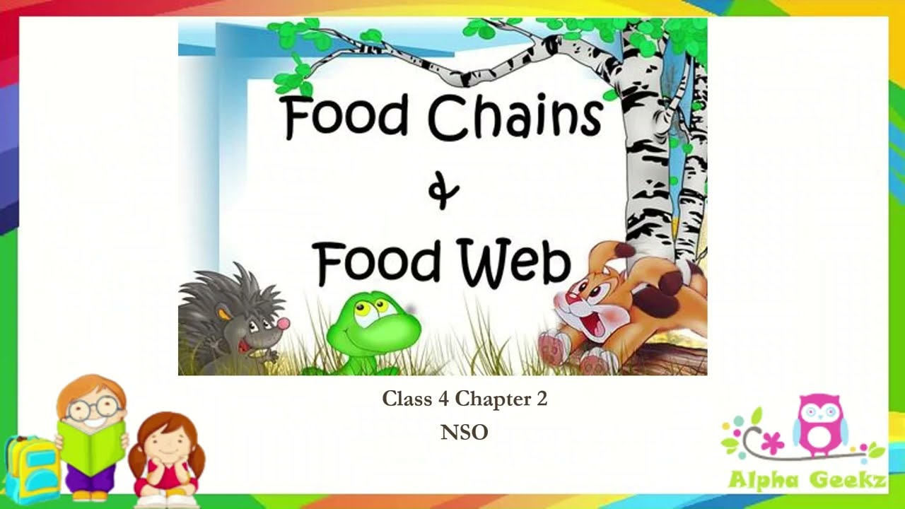 Food Chain and Food Web  - Module 2.7 (Chapter 2 - Olympiad Class 4 Science)