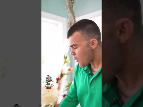 How to Trap Mice | The Pest Paisan & Mosquido Guido - Long Island's #1 Pest Control & Exterminators