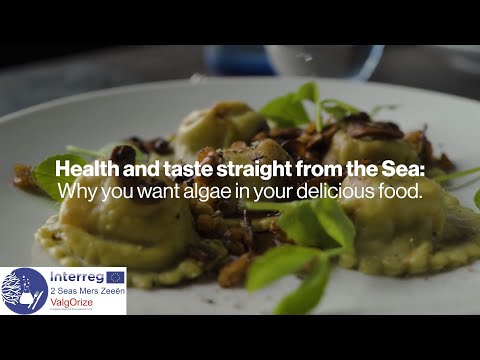 ValgOrize - Algae-based food for Europe
