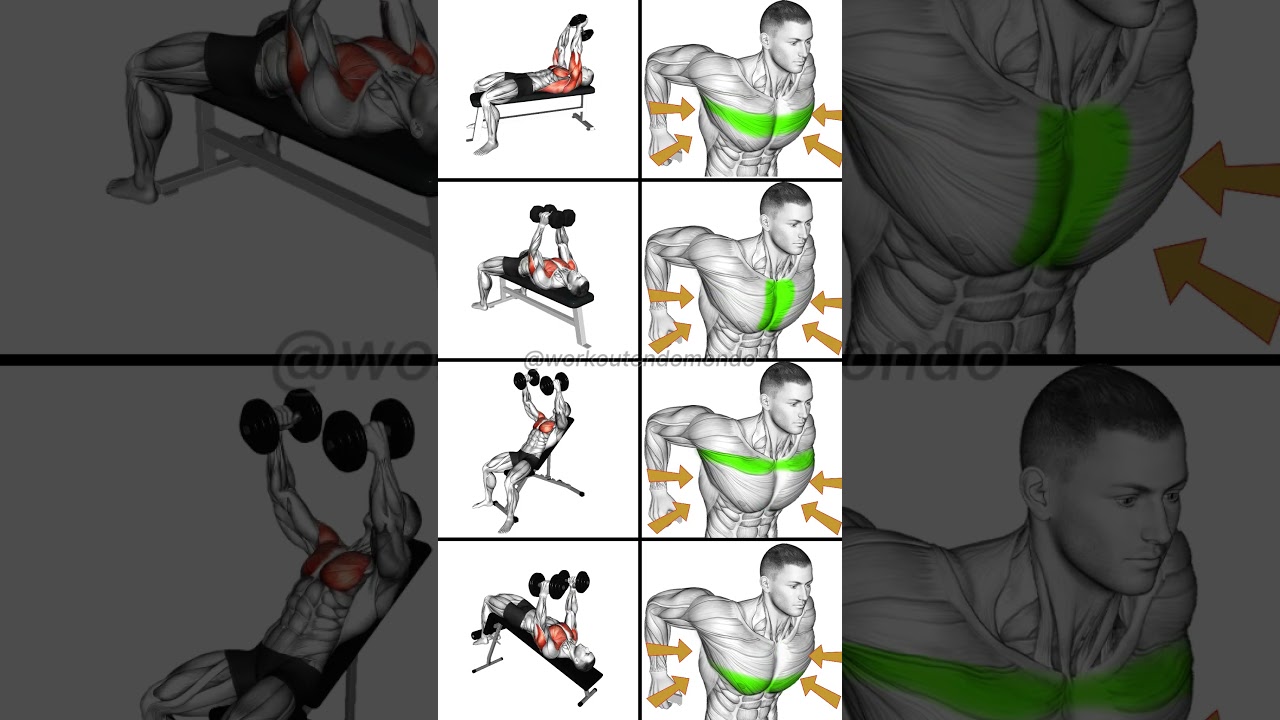 Build a Powerful Chest: Best Dumbbell Chest Workouts for Massive Gains!