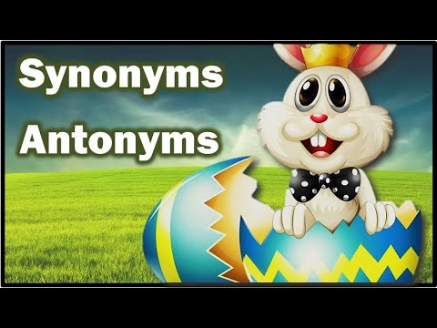 Synonyms and Antonyms - What are these?