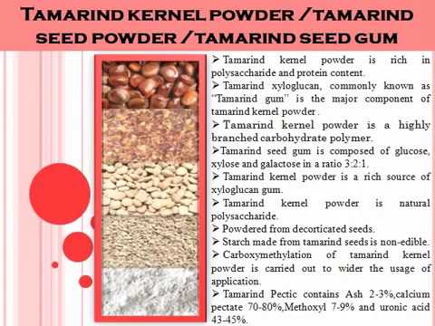Tamarind Kernel Powder - Tamarind Starch Latest Price, Manufacturers ...