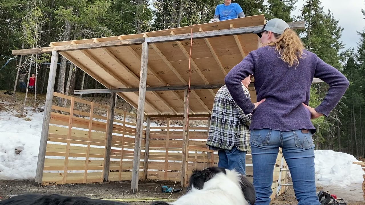 Sheep Barn Build Part 1