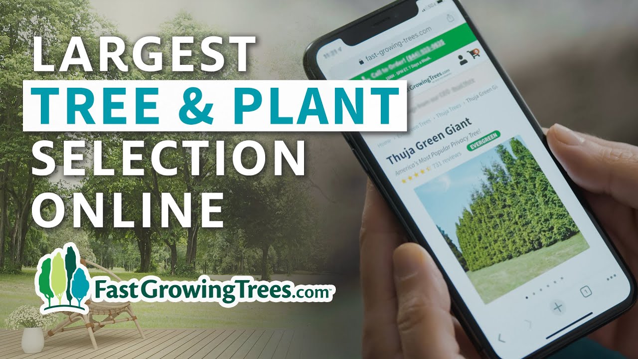 Buying Trees Online is Easy at FastGrowingTrees.com