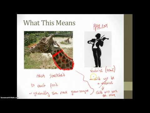 Theory of Acquired Characteristics