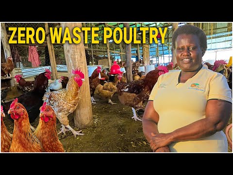 Meet the Woman Turning Chickens Into a Living ATM