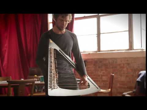 Salvi Delta Ebony Electric Harp | Reverb