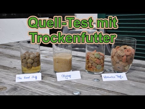Wie stark quillt Hundefutter auf ? / Hundefutter Quelltest / Hundeernährung / Nature Trails