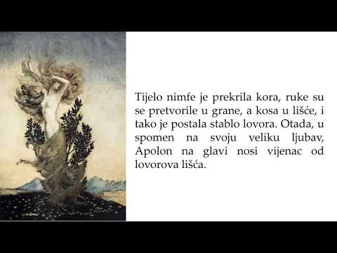 APOLON I DAFNE LATINSKI JEZIK