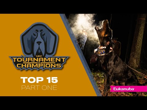 2021 UKC Tournament Of Champions - Interviews with the Top 15, Part 1