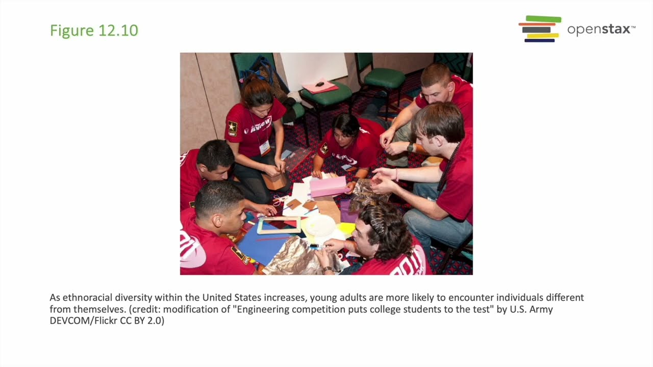 OpenStax Lifespan Development Chapter 12 (Lecture): Social & Emotional Dev. in Early Adulthood