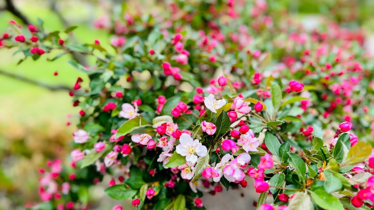 Planning Board Meeting ~ September 3, 2025