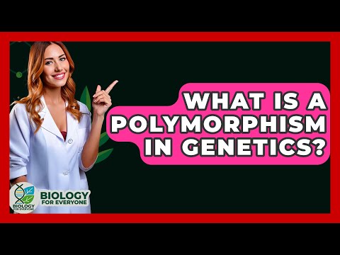 What Is A Polymorphism In Genetics? - Biology For Everyone