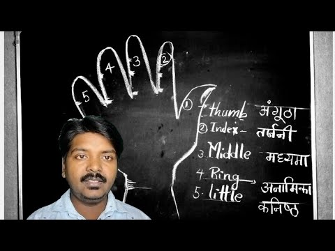 Explaining 5 Fingers name #learnenglish #pronunciation #palm #names of fingers in both Eng+Hindi