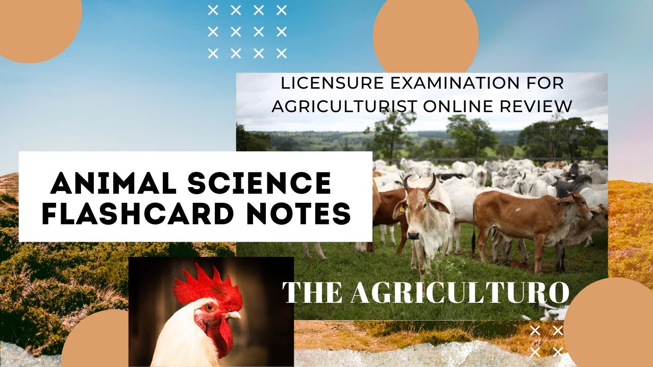 ANIMAL SCIENCE FLASHCARD NOTES 18072020