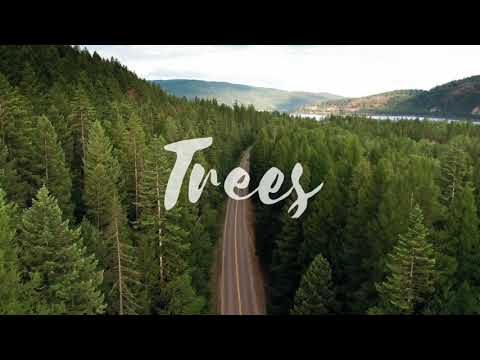 Thick Tree Canopies
