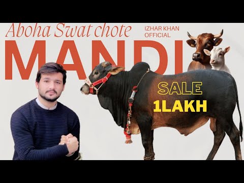 Aboha swat chore mandi | Eid al Adha 2025 | Izhar khan official