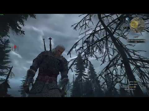 Steam Community :: Video :: The Witcher 3 - glitches