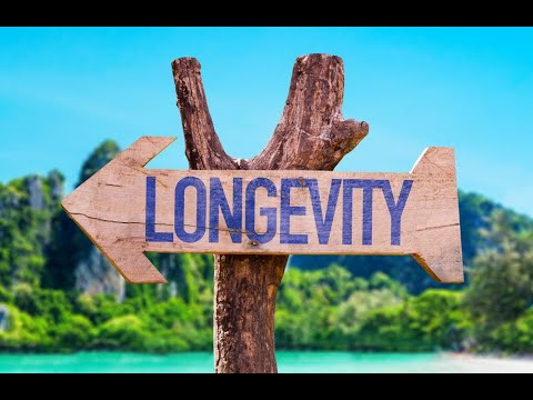 November 2022 | Longevity and Well-Being