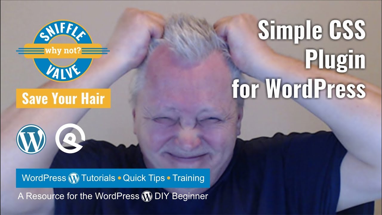 The Simple CSS Plugin for WordPress