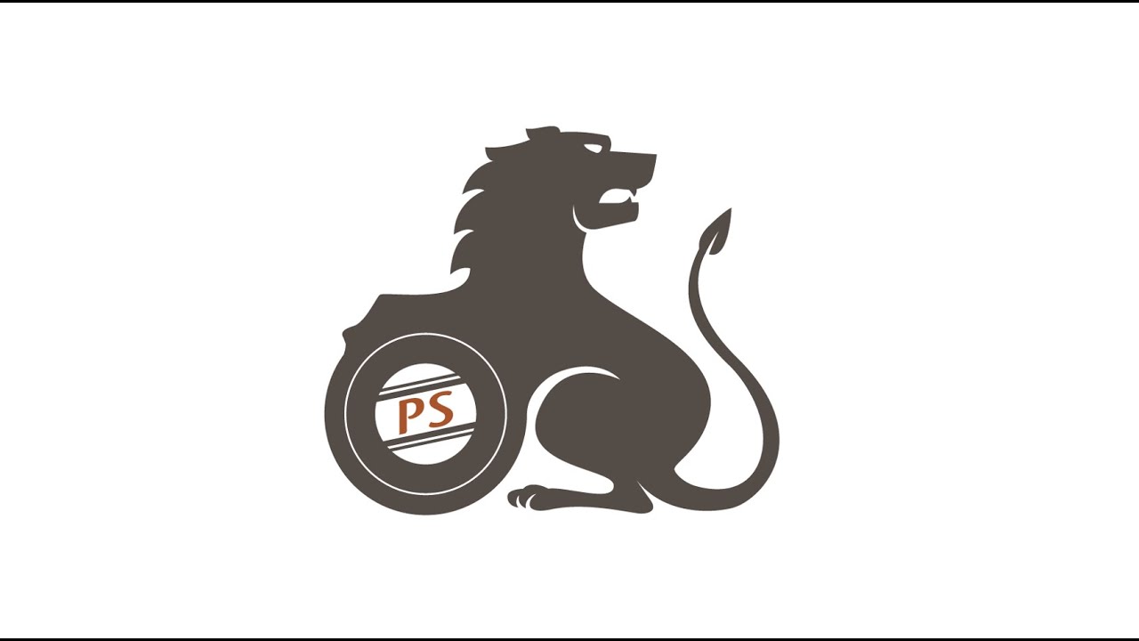 Panthera Solutions Explained