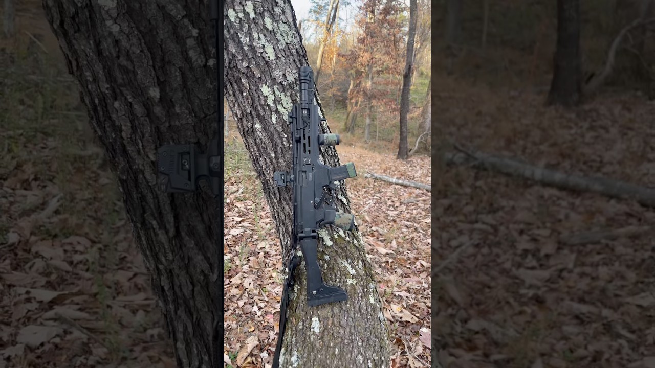 Black rifle Vs Camo rifle in the woods… 🌲👀🌳 #camo