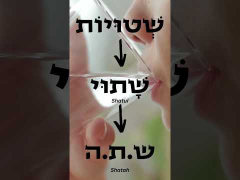 Hebrew Word Of The Day: Foolishness