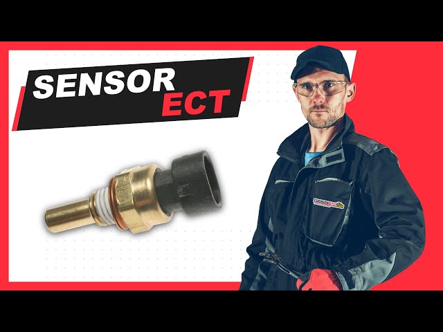 Sensor ECT | Todas las marcas | Qué es, funcionamiento y fallas