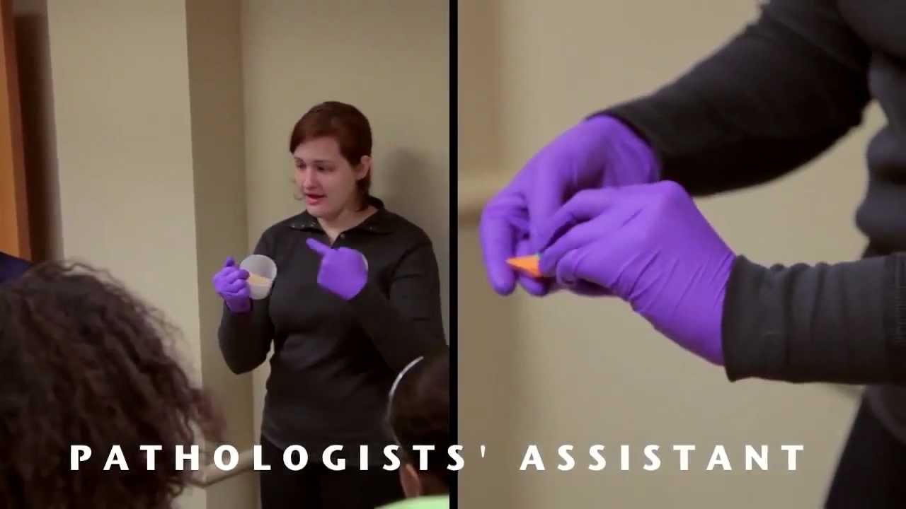 Wayne State Pathologists' Assistant Program