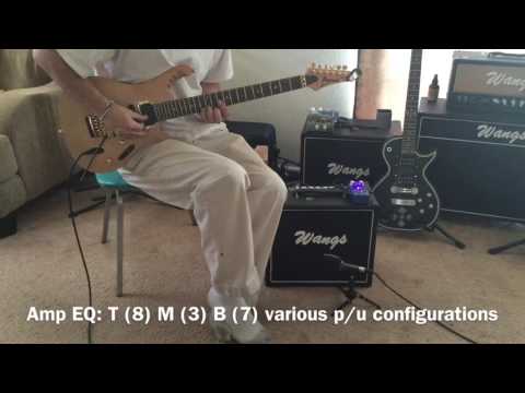 Wang's VT-10 Combo Amp 2022 Purple | Reverb