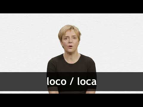 English Translation of “LOCO” | Collins Spanish-English Dictionary