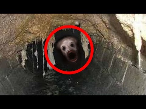 5 Sewer Monsters Caught On Tape & Spotted In Real Life - Apextv | Metal ...