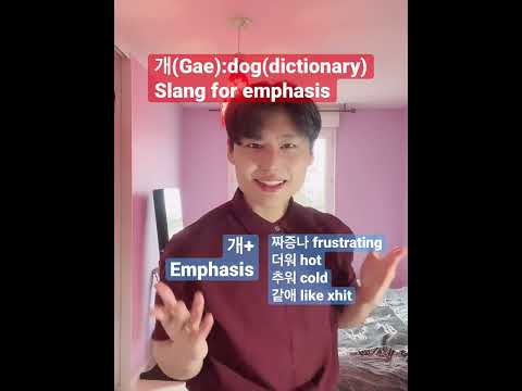 Korean culture slang words/ K trend(Real Korean advice)