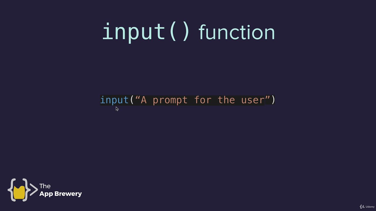 The Python Input Function | 100 Days of Code: The Complete Python Pro Bootcamp for 2022