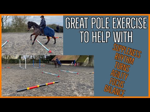 POLEWORK EXERCISE TO HELP IMPROVE YOUR HORSES Suppleness| Agility| Rhythm| Equestrian Vlog