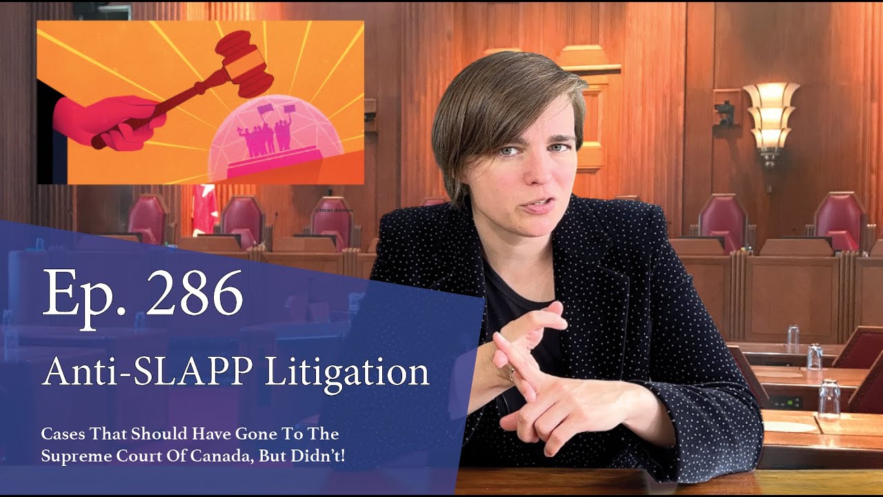 Anti-SLAPP Litigation: Cases That Should Have Gone to the Supreme Court ...