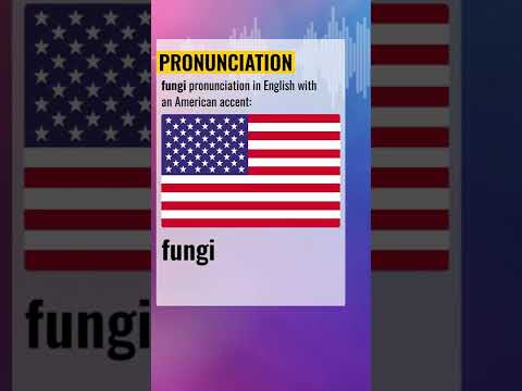 ๐ Fungi Pronunciation ๐บ๐ธ ๐ฌ๐ง ๐ฆ๐บ ๐ฎ๐ณ accents