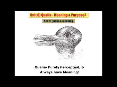 Unit Six) Qualia – Meaning & Purpose? – consciousvm.wordpress.com
