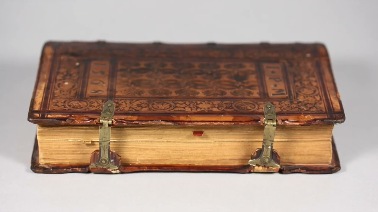 The Codex: A Brief History of the Book's Evolution | Galaxy.ai