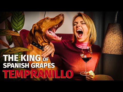 Wine Grapes 101: TEMPRANILLO - the King of Spanish Grapes