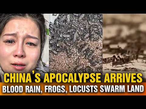 China’s Deadly Silence: Empty Streets, Abandoned Villages and ...