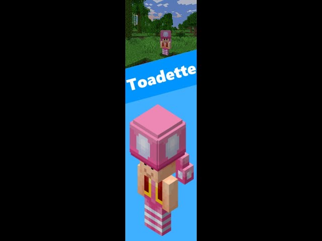 Minecraft Super Mario, Toadette (3D skin Java) #SuperMario Minecraft Mod