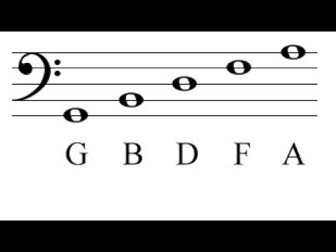 What Are The Notes On The Lines In The Bass Clef? How To Read Music Notes