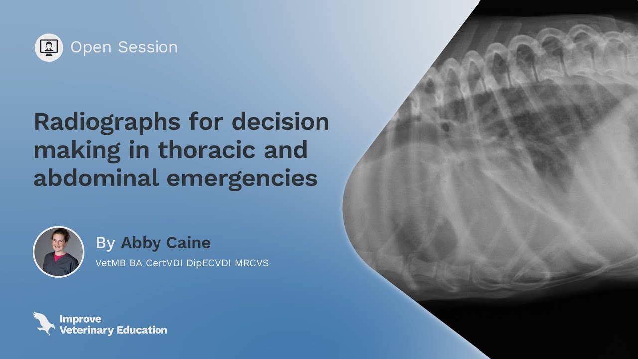 Diagnostic Imaging: Radiographs for Decision Making in Thoracic and Abdominal Emergencies