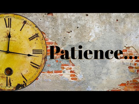 Patience | Rabbi Shawn Moir